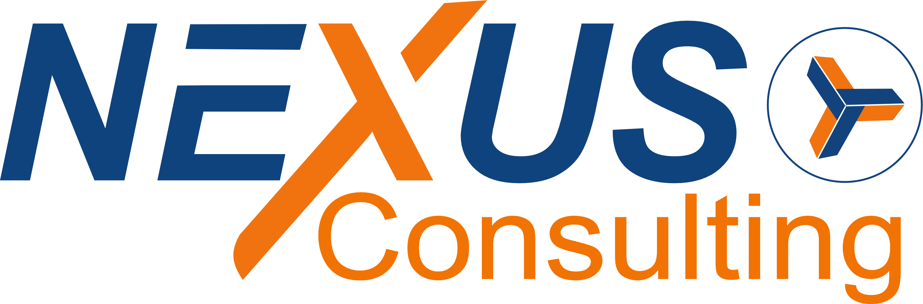 Nexus Project Management Consulting LLP - Strategic Excellence in Sub ...
